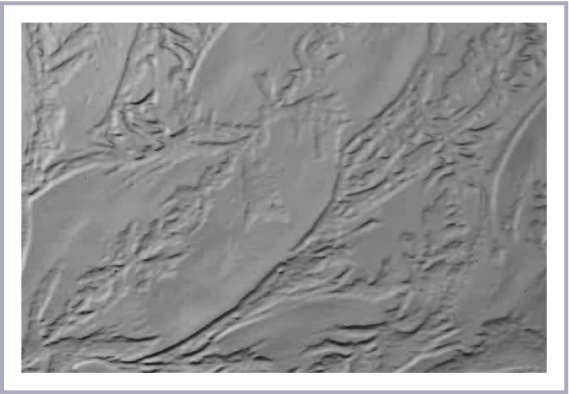 Residential - Dynamic Model - Planks - 2347
